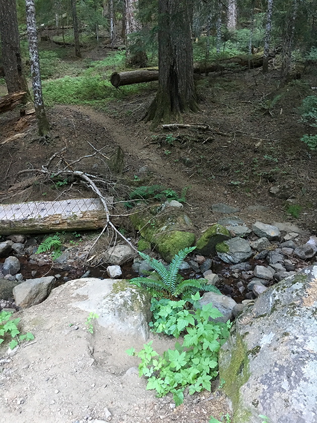 Discover the Cascade Crest | Bend Trails