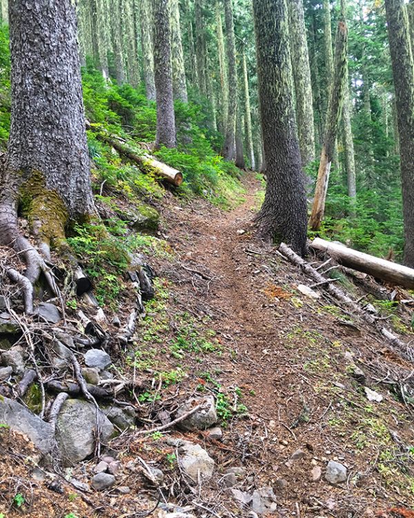 Discover the Cascade Crest | Bend Trails